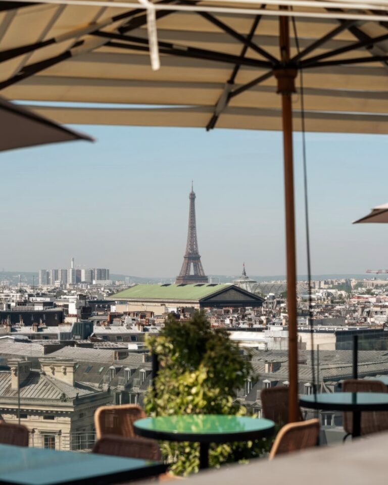 Best Rooftop Bars in Paris for Stunning Views & Potent Cocktails